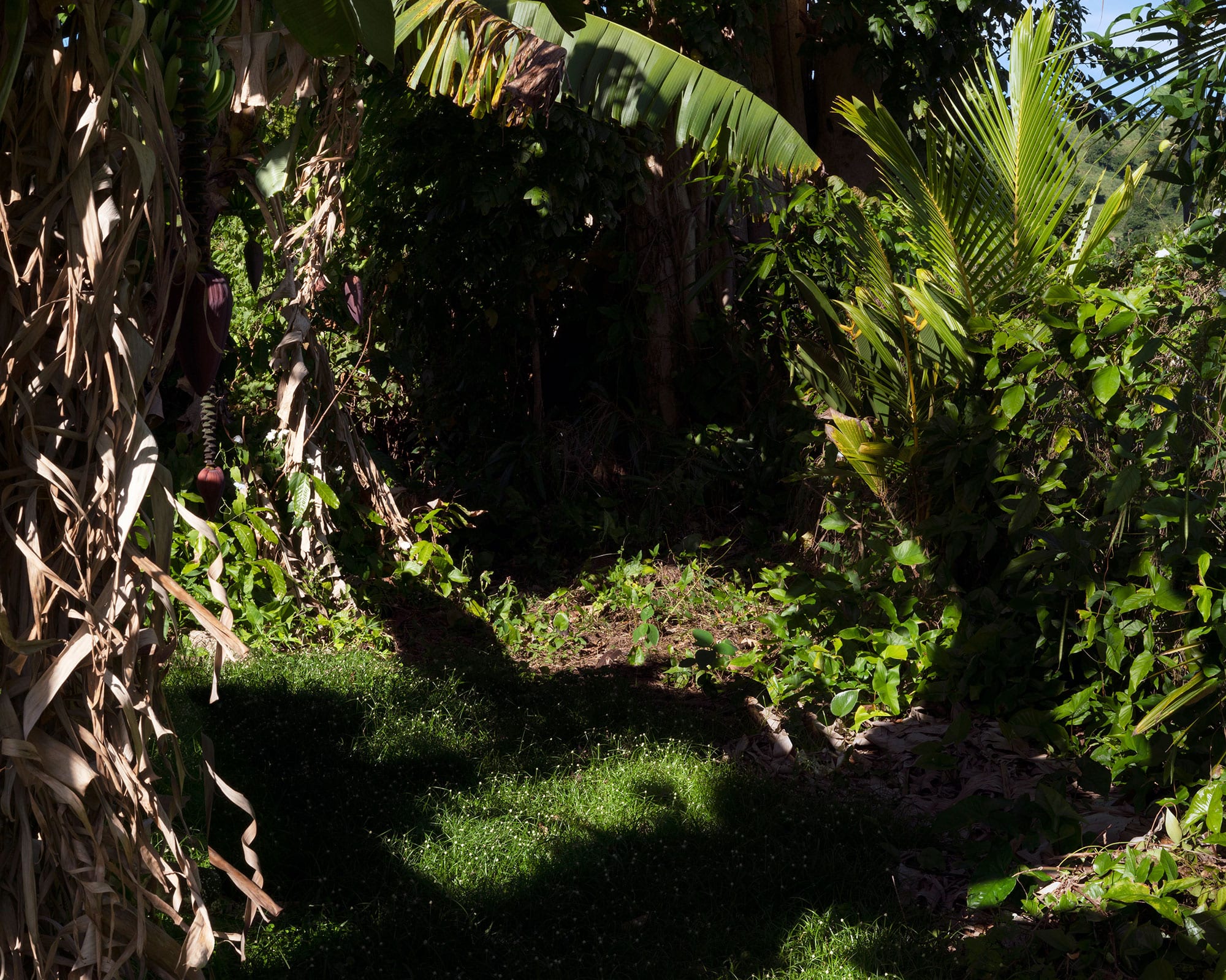 Experience Movement and Sound Through Genesis Baez's Photographs - Art ...